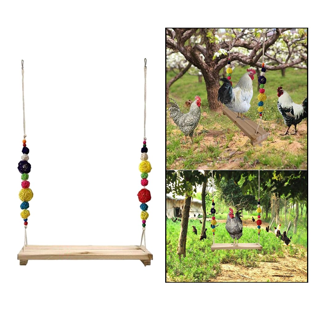 Chicken Swing Colorful Chicken Toys For Hens Bird ... – Grandado