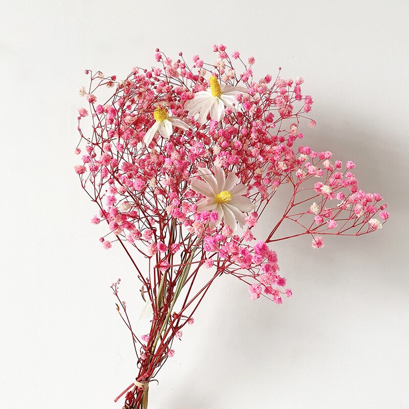 12 Styles Bunch Lmmortal Flower Nut Cotton Sunflow... – Grandado