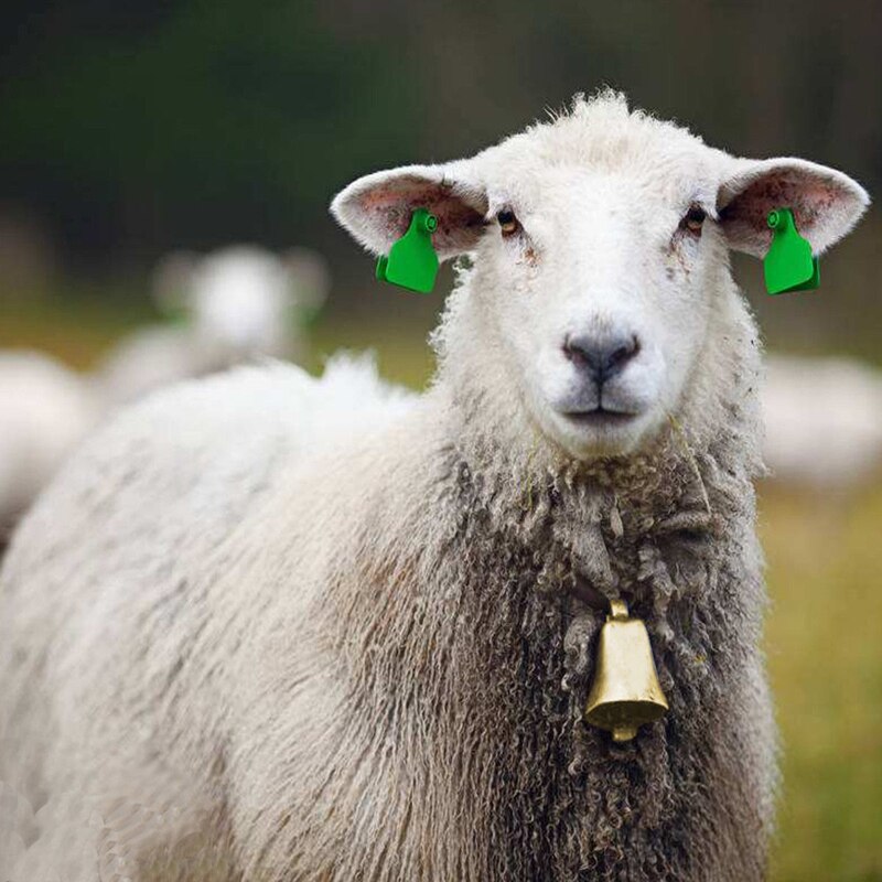 1PCS Sheep Copper Bells Livestock Animal Husbandry... – Vicedeal