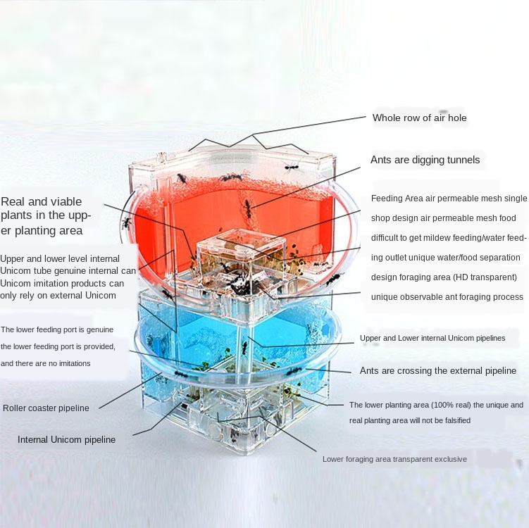 Double layer DIY Acrylic Ant Farm Underground Ant ... – Vicedeal
