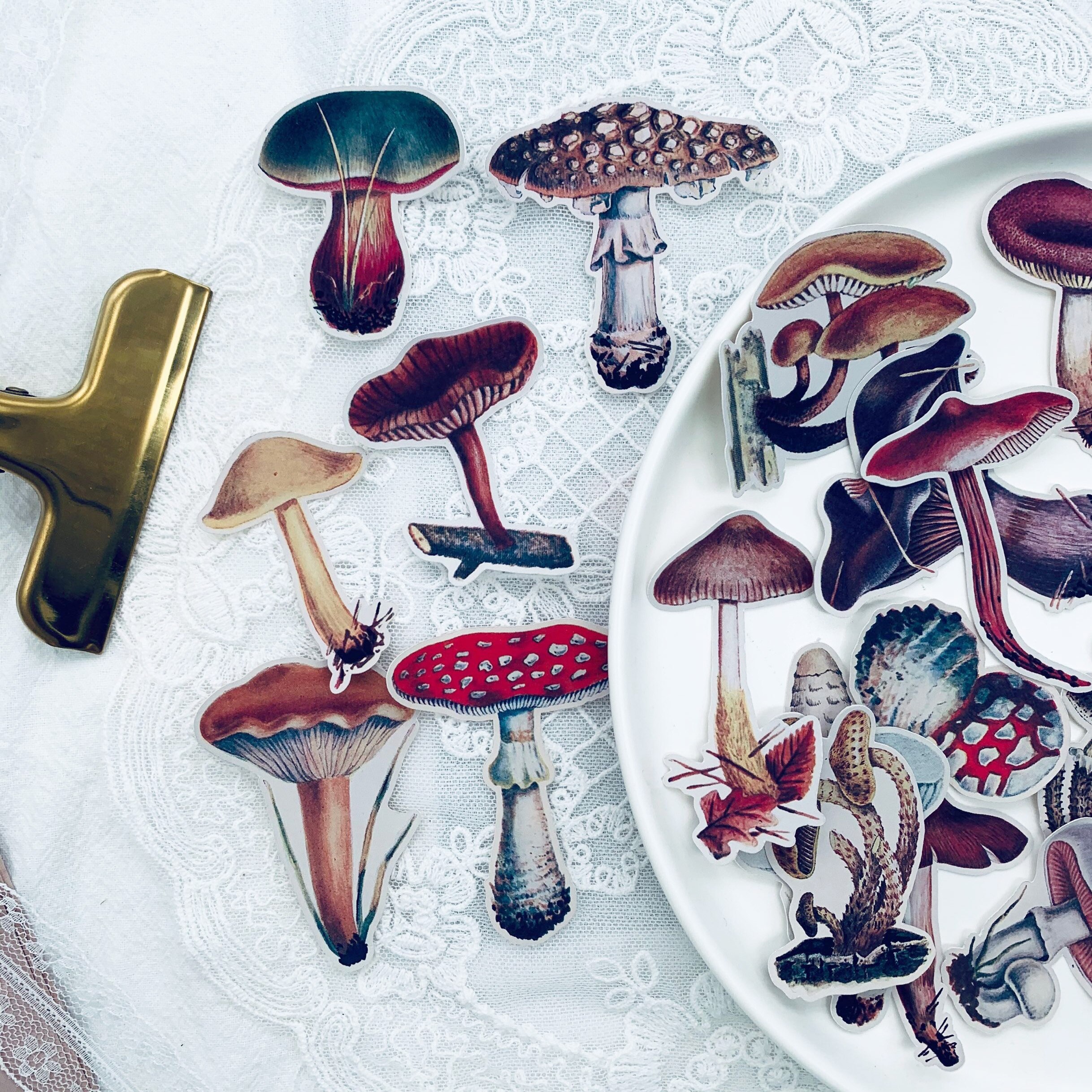 29Pcs Vintage Paddestoel Stickers Reizen Bullet Jo... – Grandado