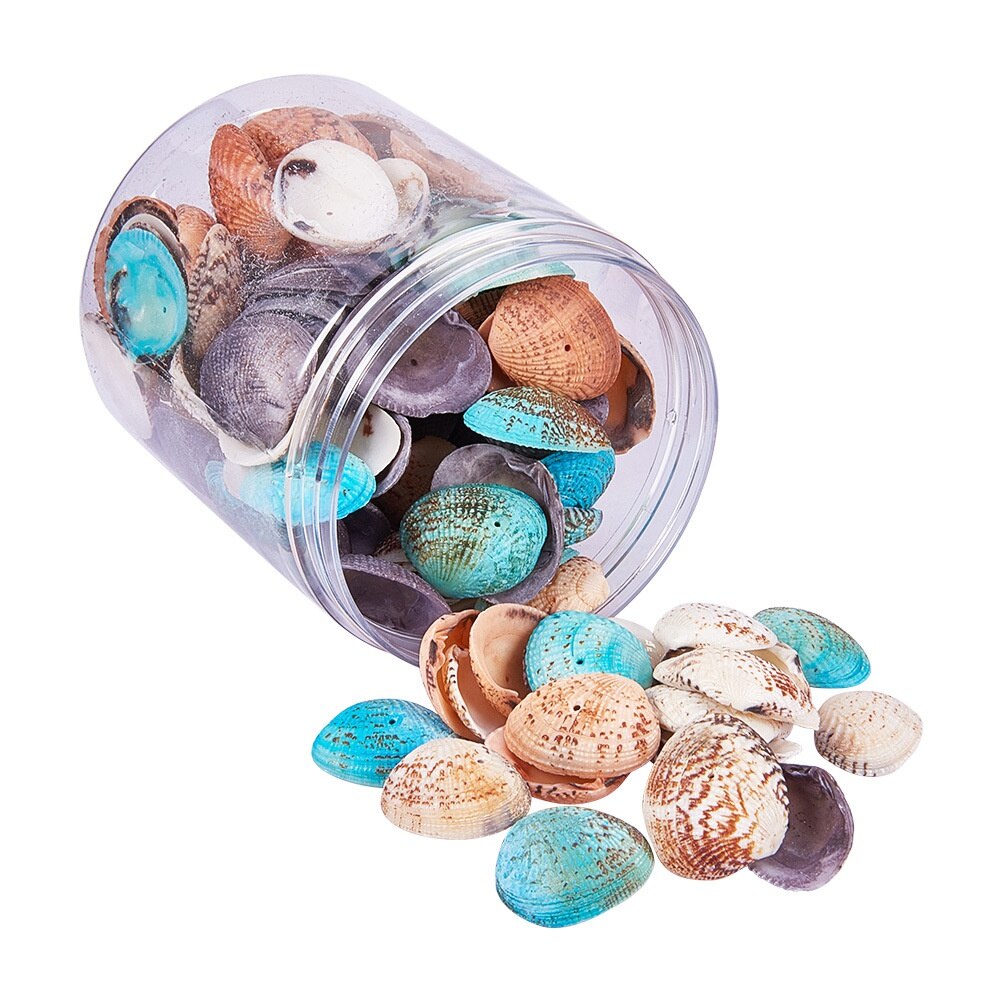 100-120Pcs Mixed Sea Shells Ocean Beach Spiral Sea... – Grandado