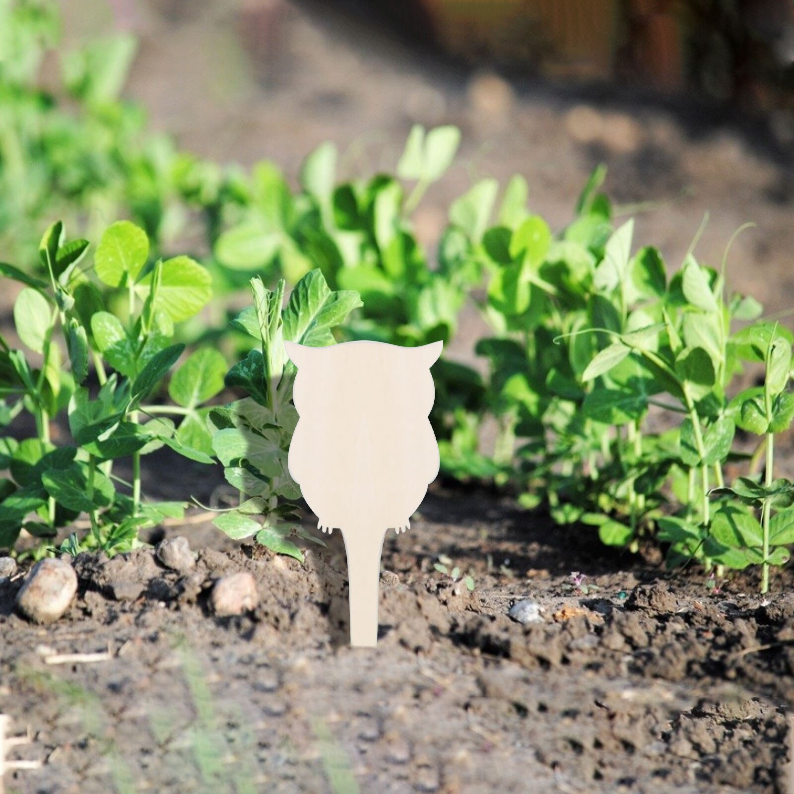 4# 10pcs Wooden Sign Gardening Plant Label Can Wri... – Grandado