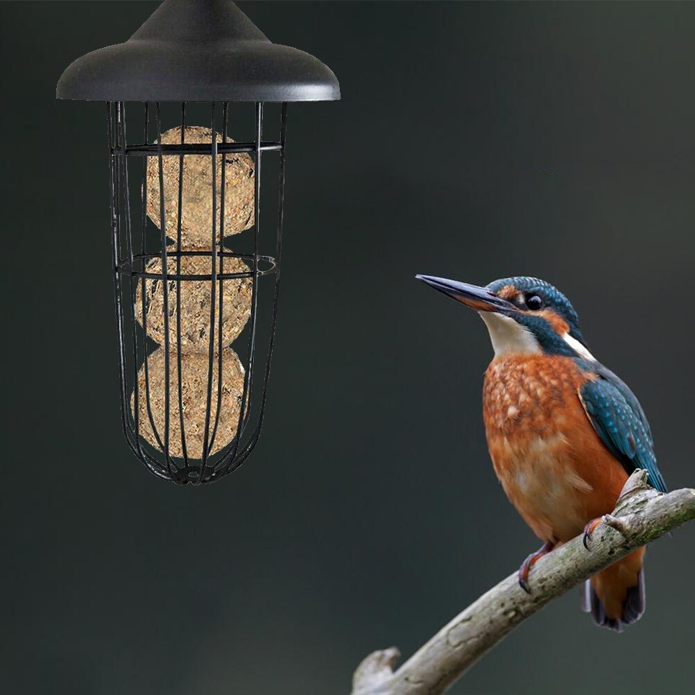 Outdoor Bird Feeder Hanging Fat Ball Holder Metal ... – Vicedeal