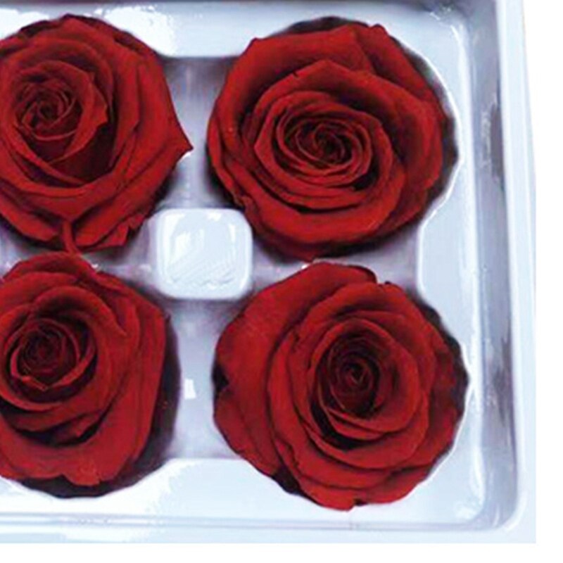 8Pcs/Box Preserved Flowers Flower Immortal Rose 4-... – Grandado