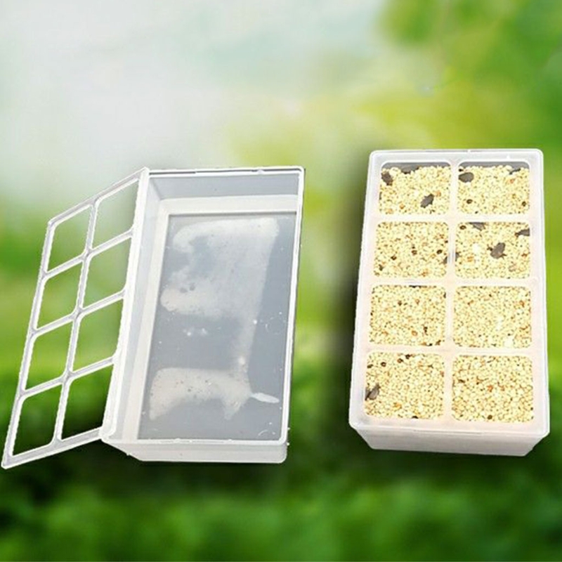 Chick Feeder Plastic Storage Box 8-Grid Food Dispe... – Grandado