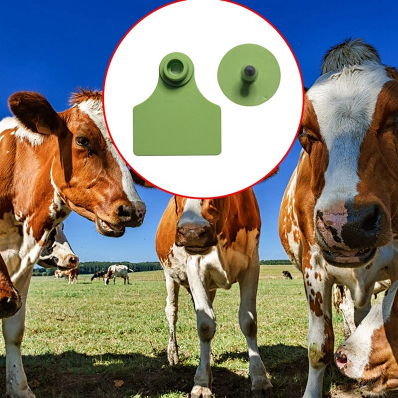 20Pcs Cow Cattle TPU Ear Tag Signs Without Words E... – Vicedeal