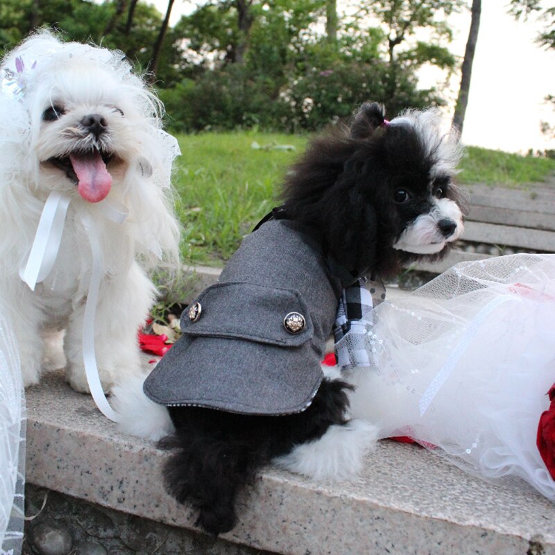Camisa para perro, ropa para cachorros, traje de t... – Grandado