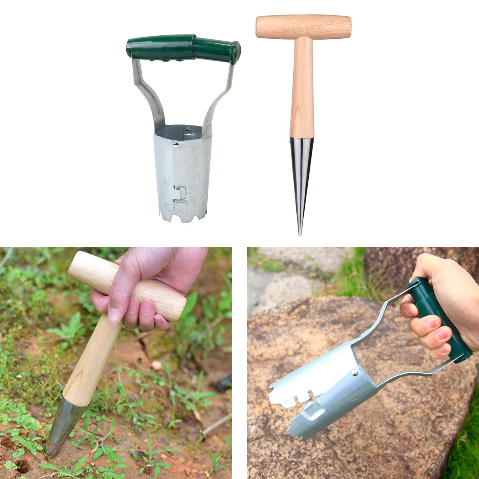 Plantation de graines et de bulbes, 2 pièces, diss... – Grandado