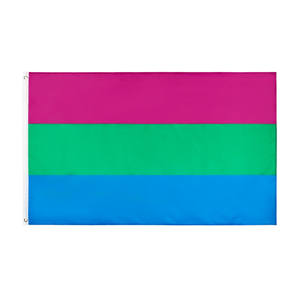LGBTQIA Polysexual Pride Flag 90x150cm – Vicedeal