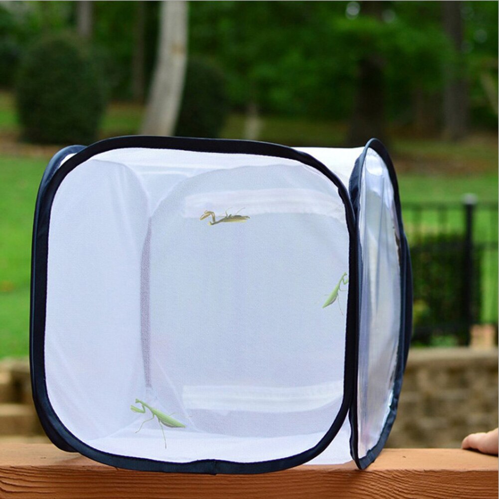 Outdoor Insect And Butterfly Habitat Cage Terrariu... – Grandado