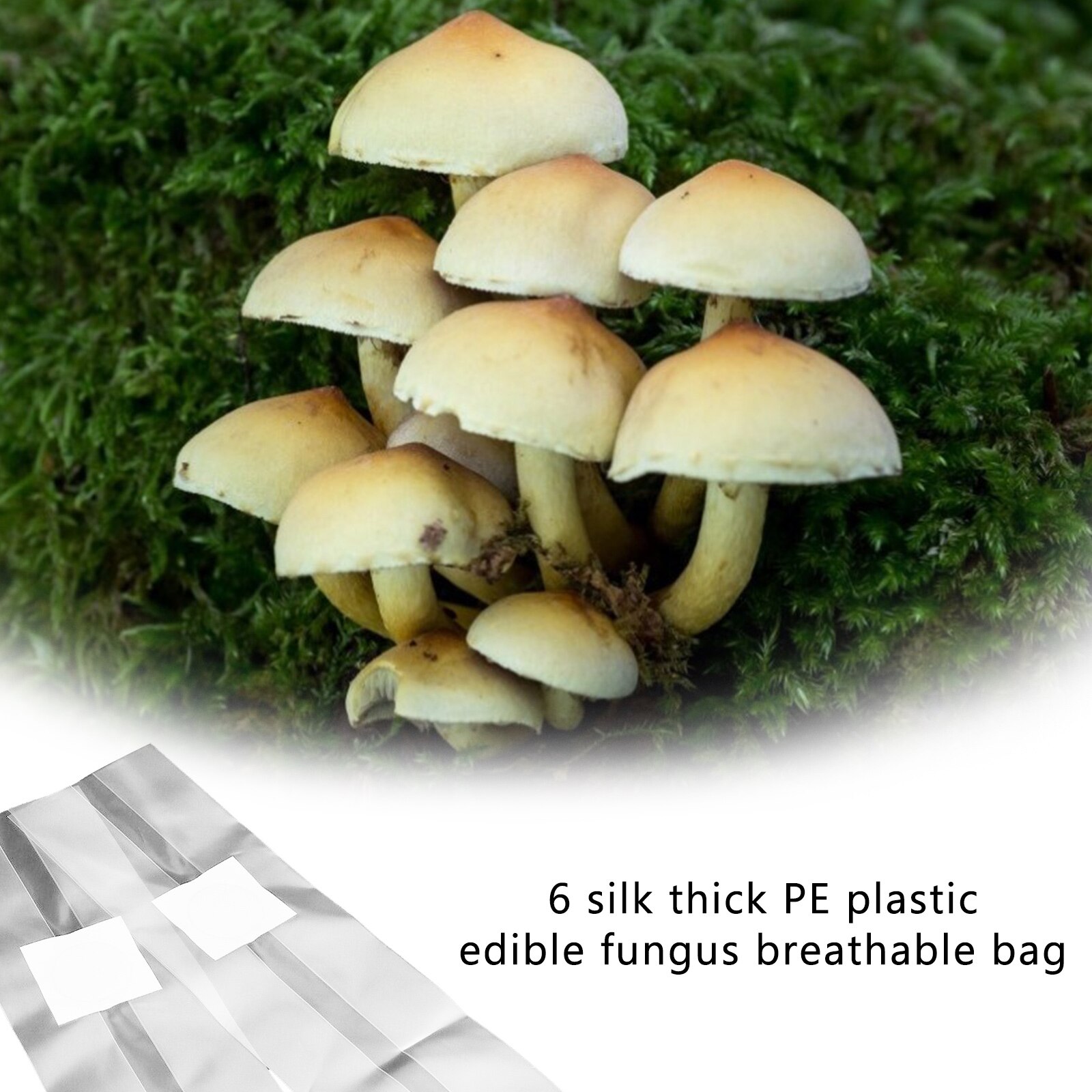 50Pcs PVC Mushroom Spawn Grow Bag Substrate High T... – Vicedeal
