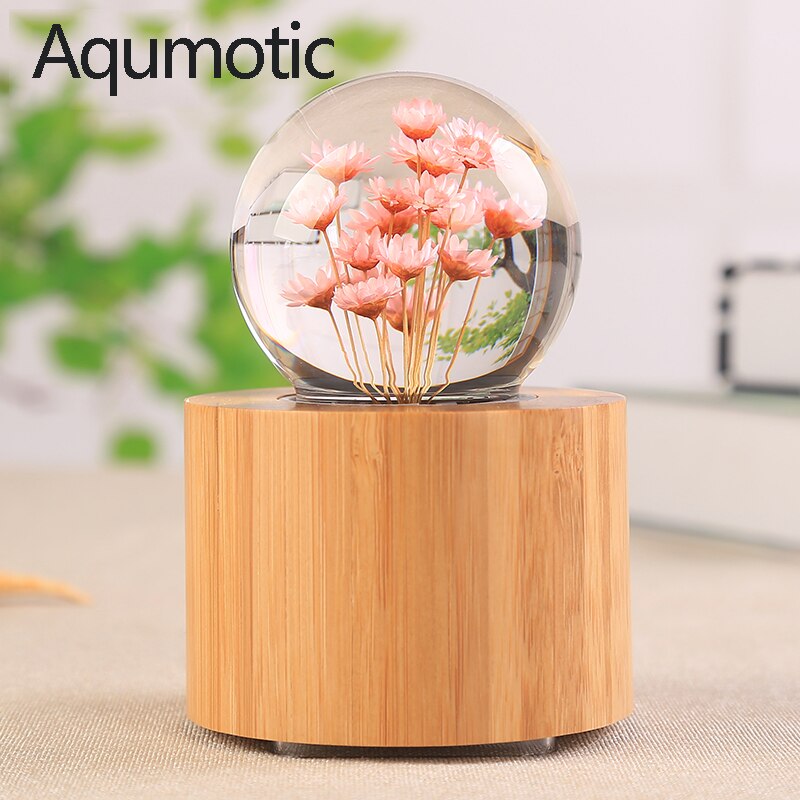 Aqumotic Daisy Music Box Crystal Ball Dried Flower... – Grandado