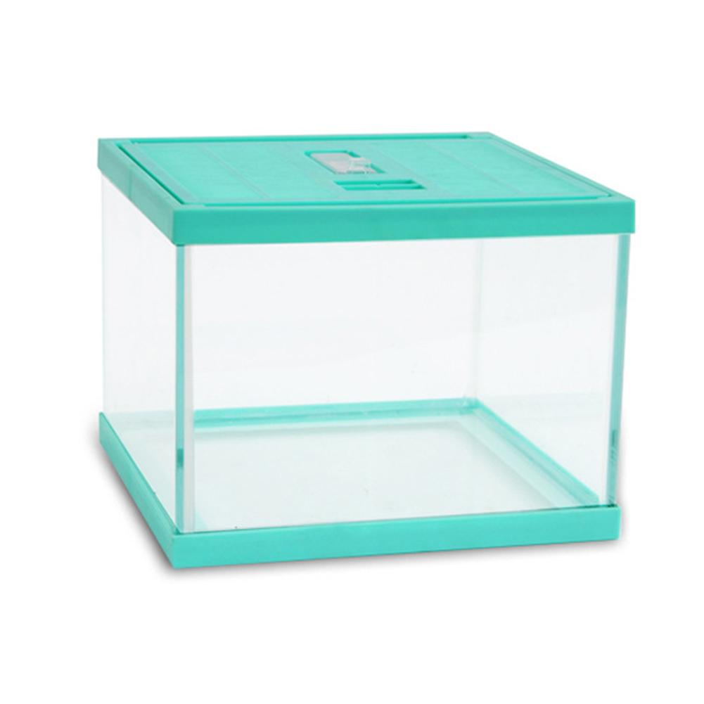 Reptile Glass Terrarium Amphibians Feeding Box Tra... – Vicedeal