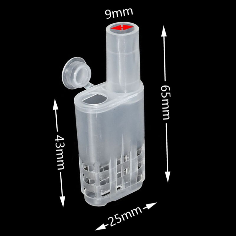 Bee Queen Cages Beekeeping Protection Queen Bee Eq... – Grandado