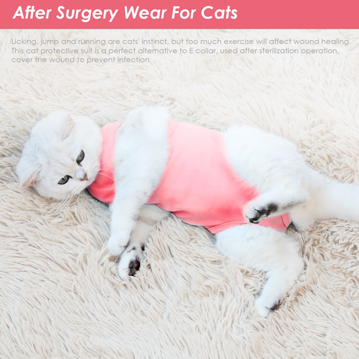 Pet Cat Recovery Suit After Surgery Wear E Collar ... – Grandado