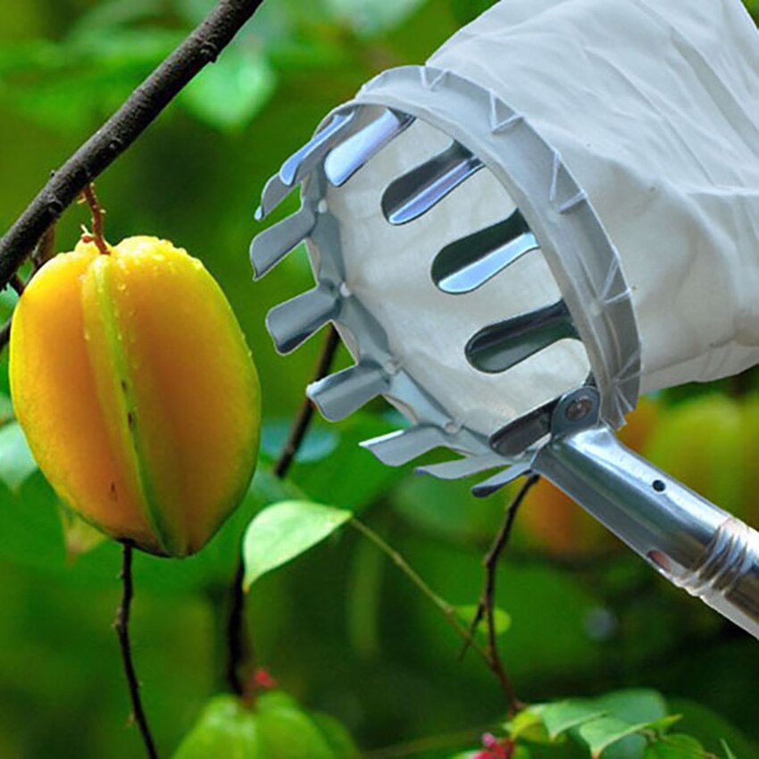 Garden Pruning Fruit Picker Basket Bag Gardening A... – Grandado