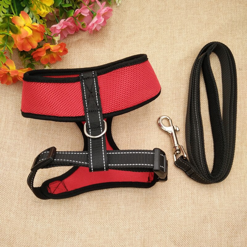 Small Dog Harness En Leash Set Soft Walk Vest Supe... – Grandado
