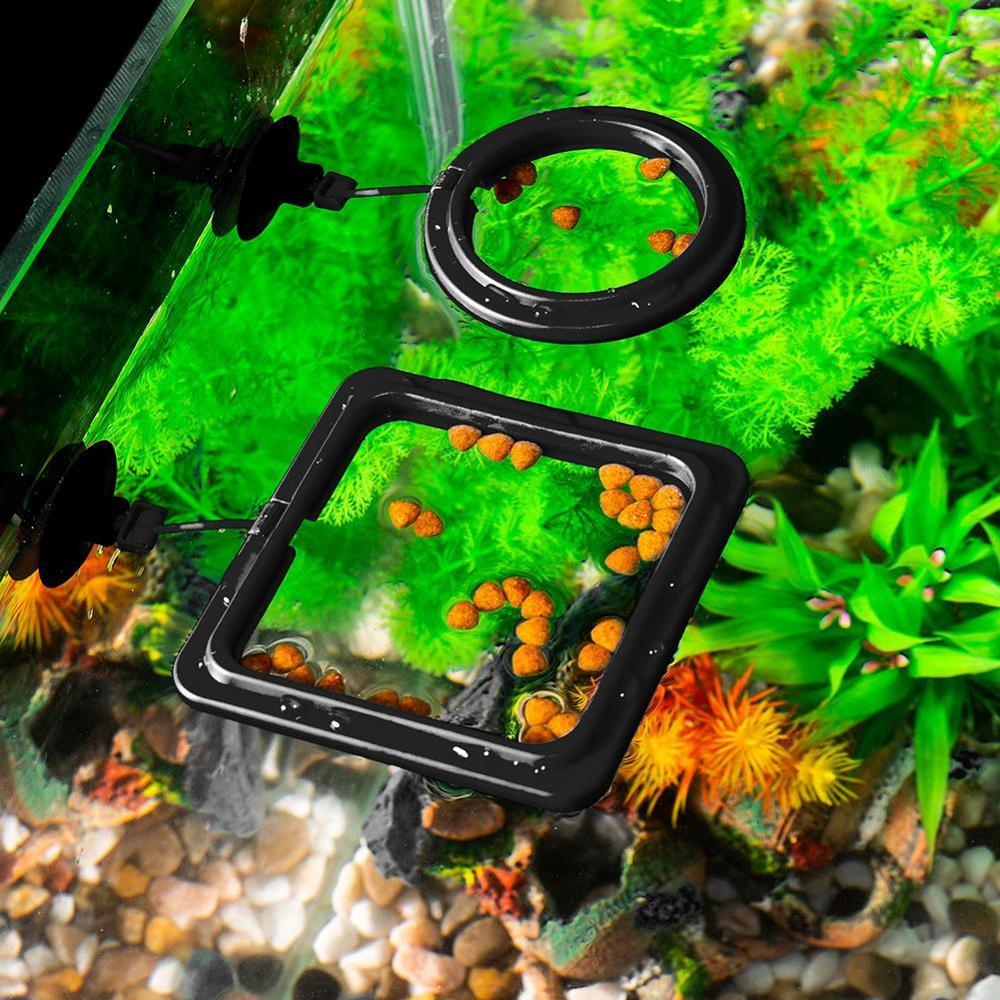 ish Feeding Aquarium Fish Tank Ring Feeder Station... – Grandado