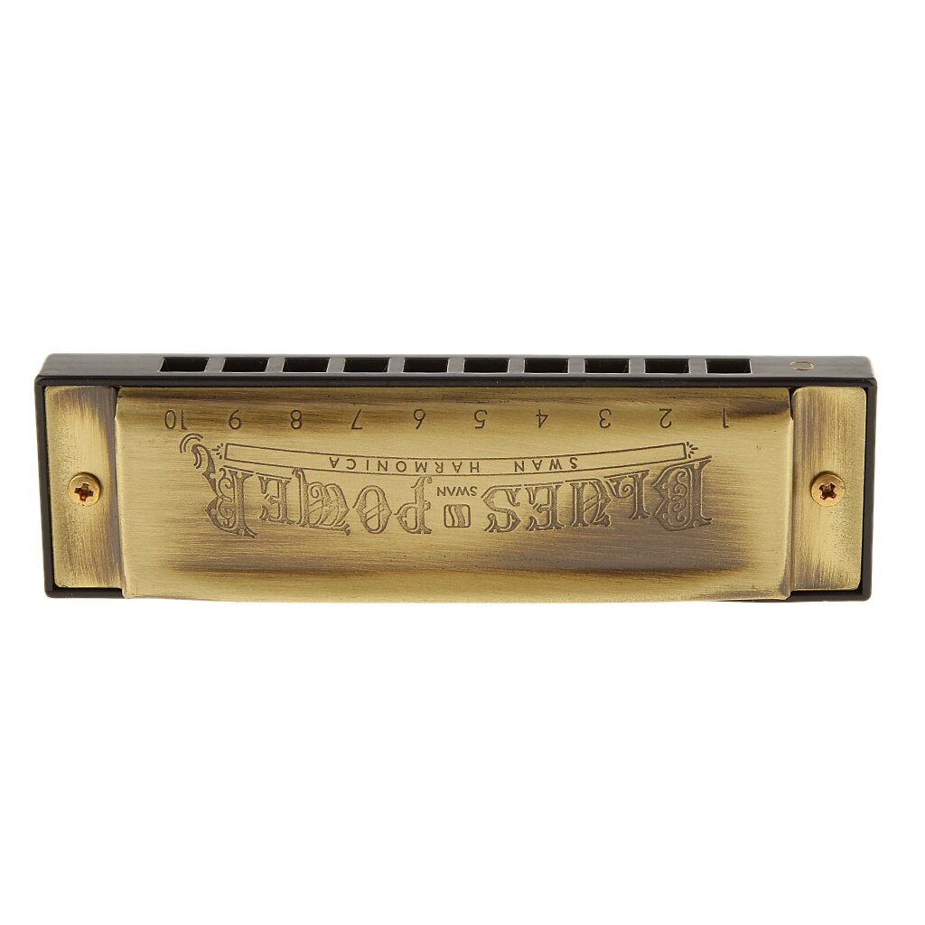 10 Holes Compact Diatonic Style Harmonica With Cas... – Vicedeal