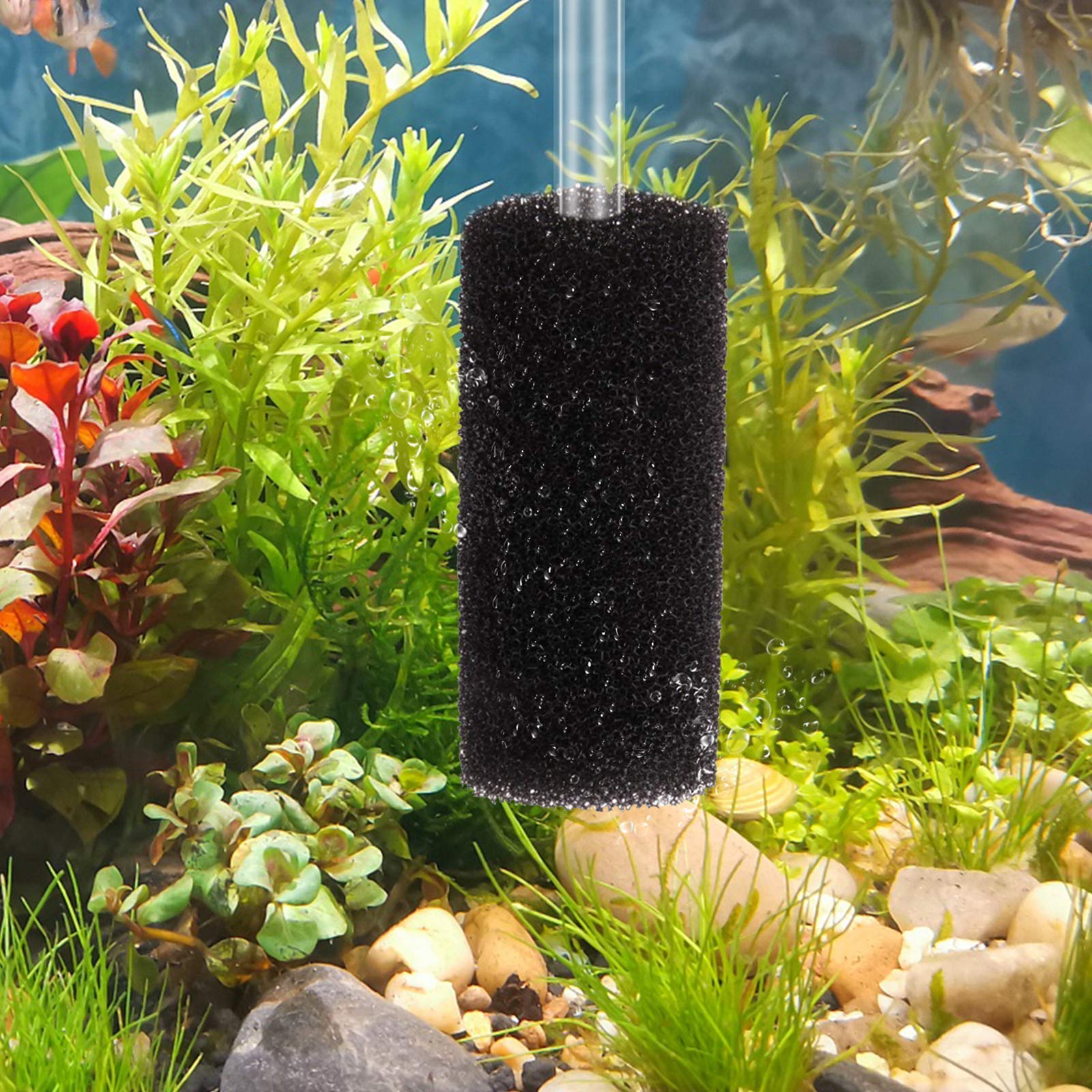 4 Pack Pre-Filter Sponge Aquarium Pre Filter Foam ... – Grandado