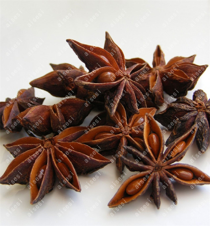 Star Anise Spices 20 – Vicedeal