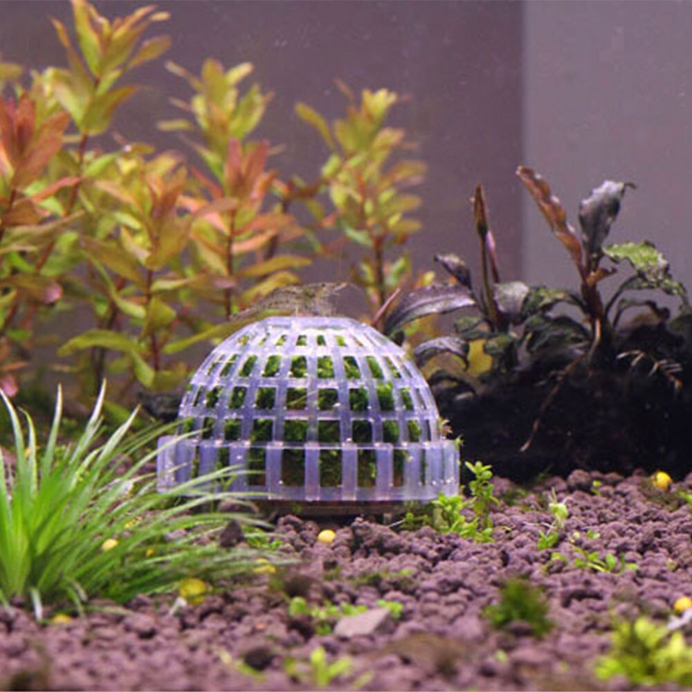 Dia. 5cm Moss Ball Filter Decor Fish Tank DIY Live... – Grandado