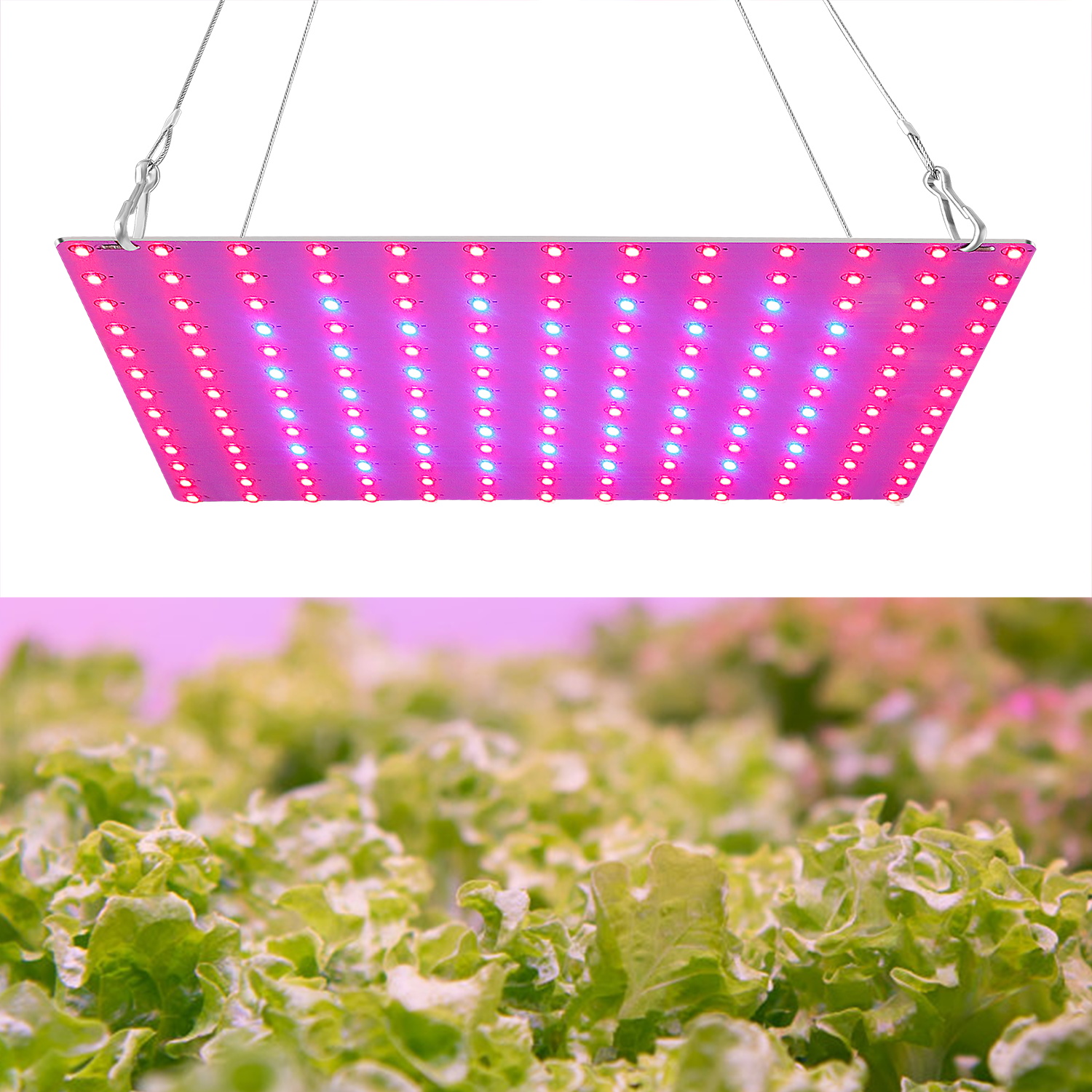 Volledige Spectrum 200W Licht Led Plant Lamp 220V ... – Vicedeal
