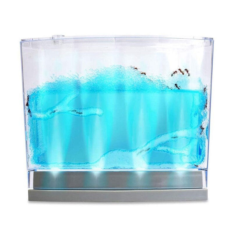 Blue Ant Habitat Ant Home Light Set, Ant Workshop ... – Grandado