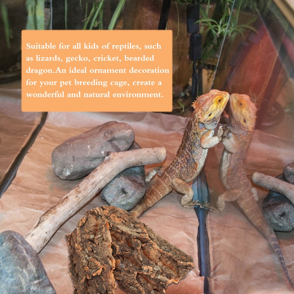 2pcs Reptile Terrarium Landscape Ornament Pet Drag... – Grandado