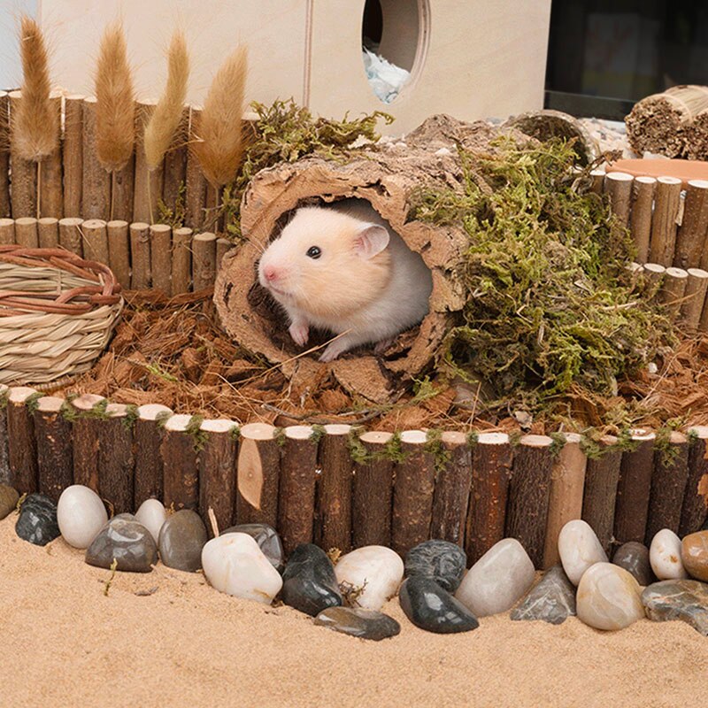 Small Pet Toys Hamster Wooden Ladder Bridge Parrot... – Grandado