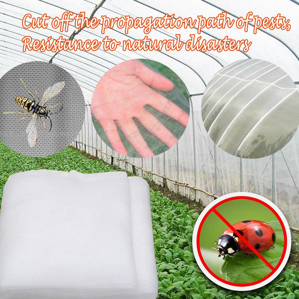 1*5m/1*10m/2*5m Insect Screen Thickened Encrypted ... – Grandado