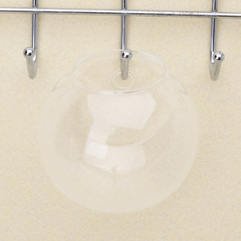 Glass Vase Wall Hanging Hydroponic Terrarium Fish ... – Grandado