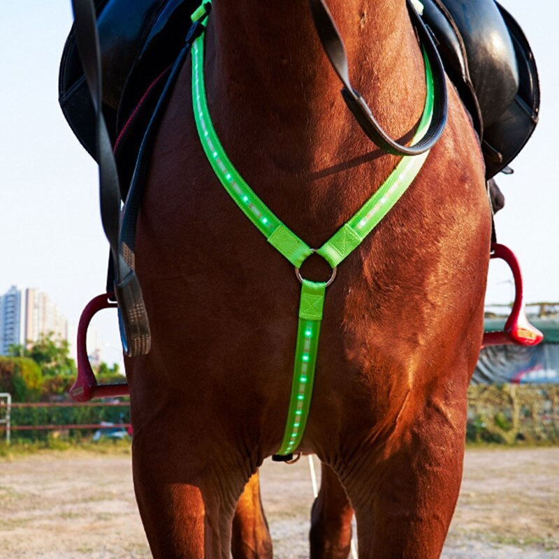 LED Horse Breastplate Collar High Visibility Tack ... – Grandado
