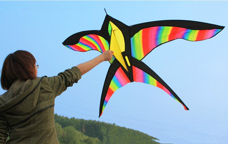 Toy Rainbow Swallow Kite / Bird Kites With Handle ... – Grandado
