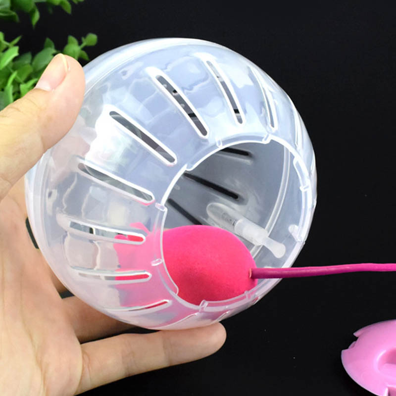 Hamster Exercise Balls Pet Products Cute Plastic M... – Grandado