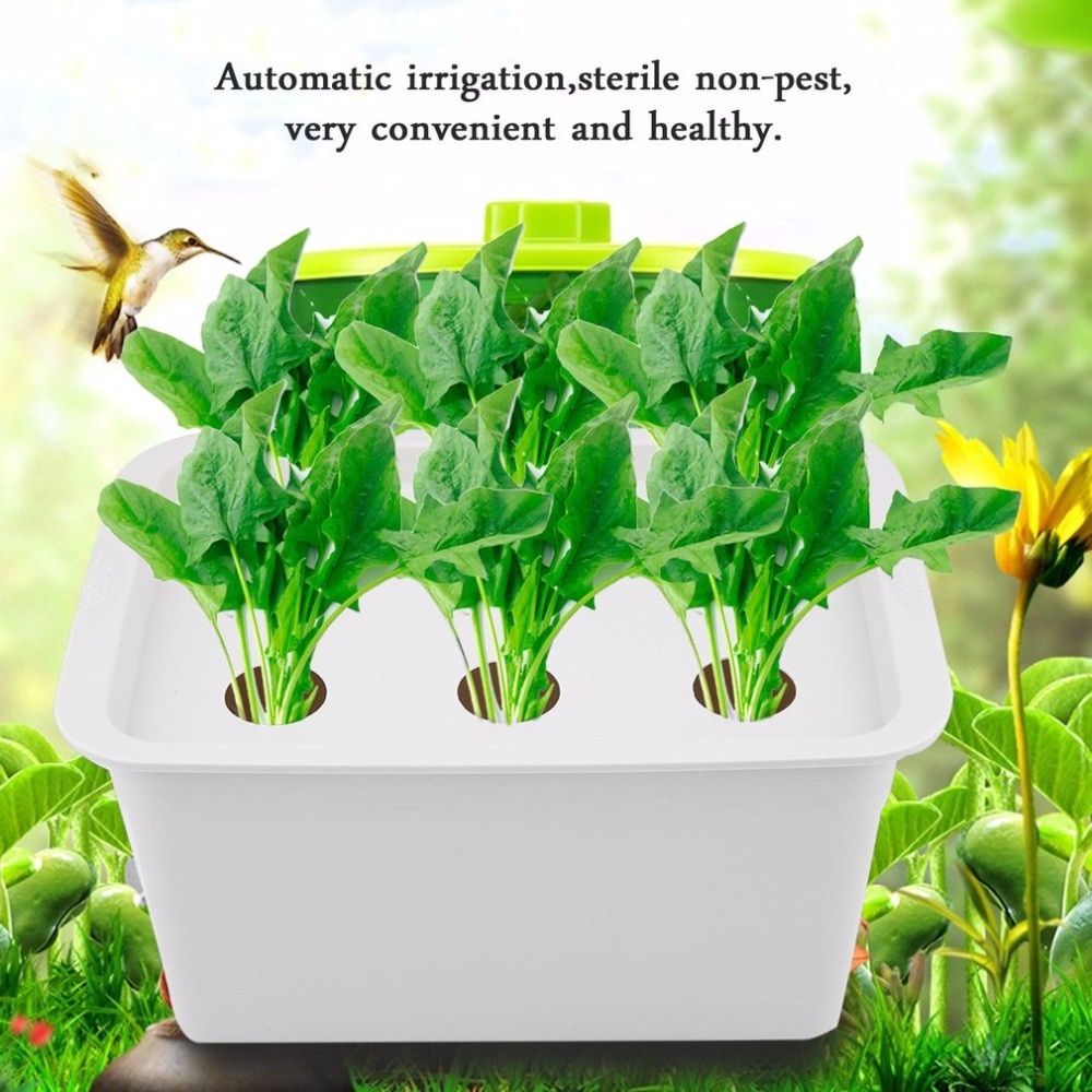 6 Holes 220V/110V Plant Site Hydroponic System Ind... – Vicedeal