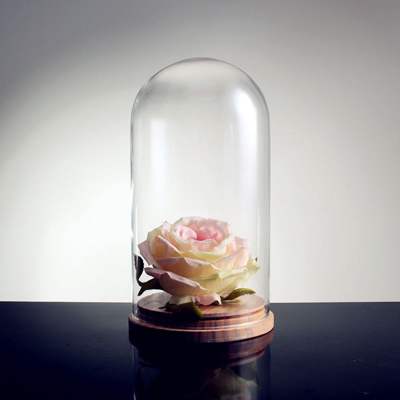 Glass Bell Jar Bell Gass Shade Flowers Glass Dome ... – Vicedeal