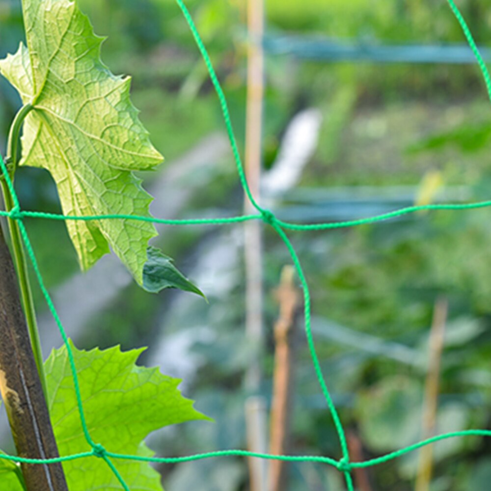 Klimmen Netto Planten Plastic Huis & Tuin Plant Ne... – Vicedeal