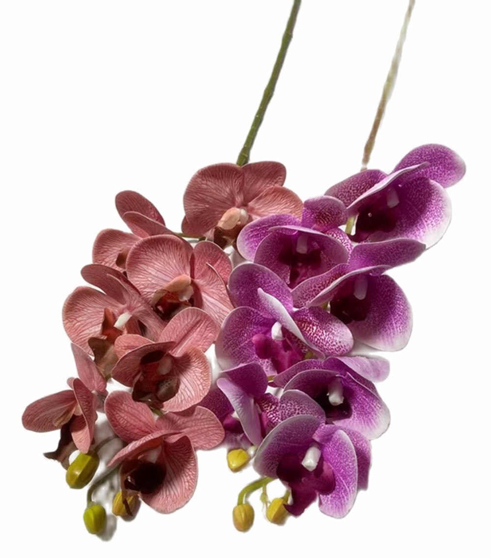 One Real Touch Cymbidium Orchid Flower Plant Artif... – Grandado