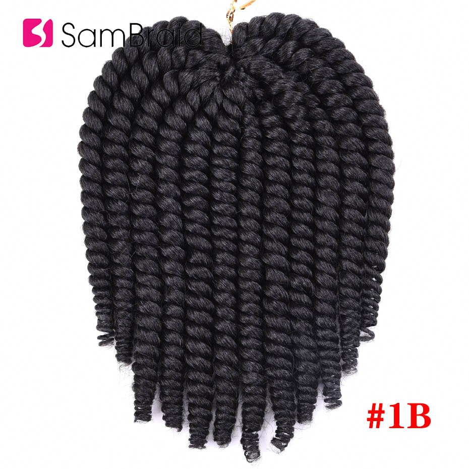 SAMBRAID Box Braids Crochet Braids 14 Inch Synthet... – Grandado