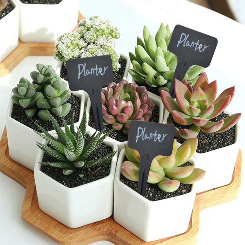 101Pcs/Set Black Plant Labels Water T-Types Plant ... – Vicedeal