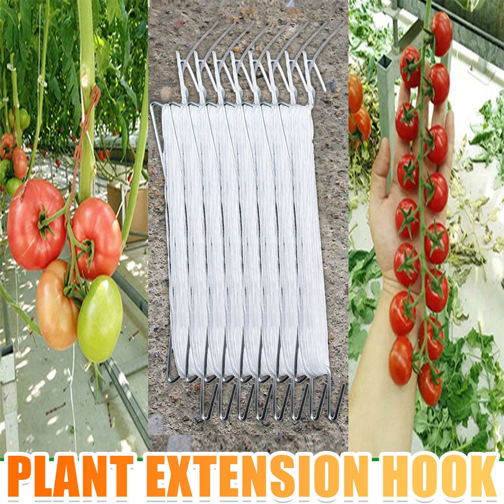 8pcs Gardening tools and equipment Tomato Hook Tom... – Vicedeal