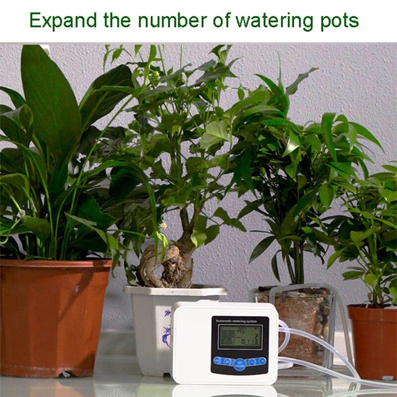 Automatic Watering Device Solar Double Pump 12 Flo... – Grandado