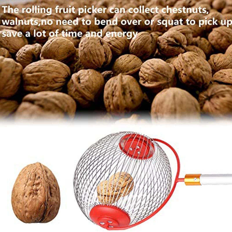 Retail Nut Collector Tool Hickory Collector Rollin... – Grandado