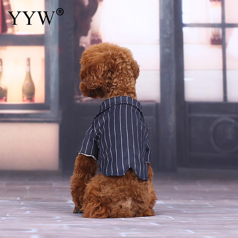 Hond Pak Kleding Voor Honden Bruiloft Kleding Cool... – Grandado