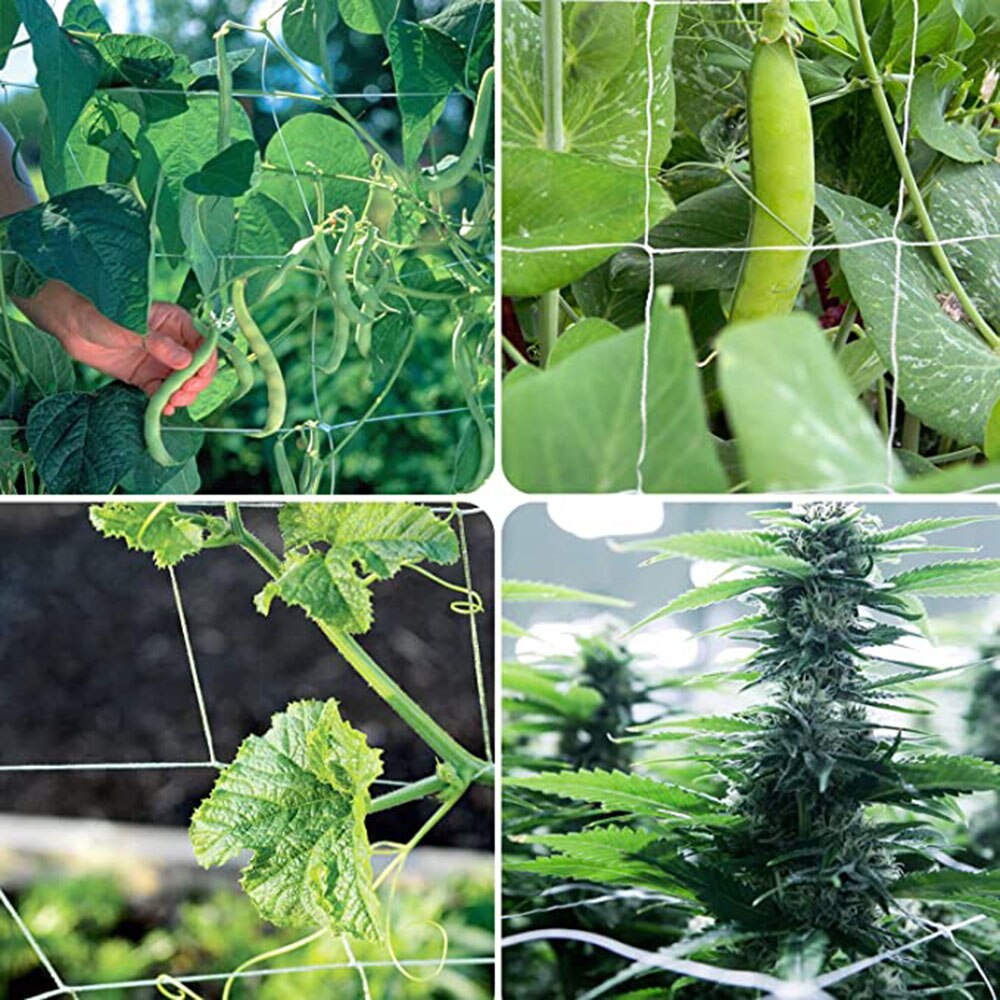 Multi Gebruik Plant Trellis Netting Zware Polyeste... – Grandado