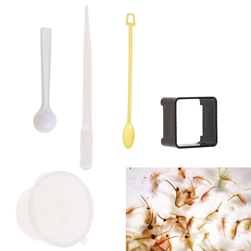 Aquarium Shrimp Incubator Kit Brine Shrimp Egg DIY... – Grandado