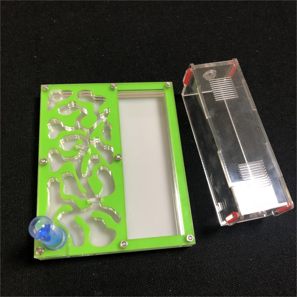 150mmx110mm test tube Moisture big space Ant Nest ... – Vicedeal