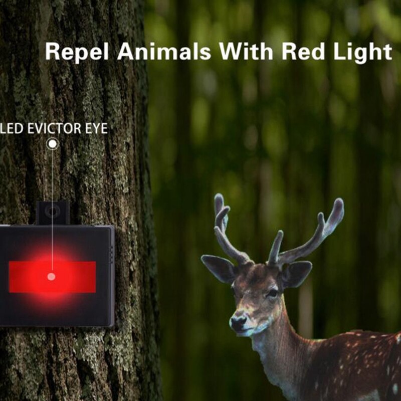 Animal Repeller,Outdoor Waterproof Pet Repeller Wi... – Grandado